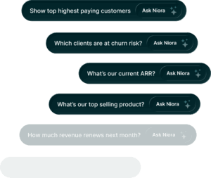 AI Subscription Management & Revenue Intelligence | Niora